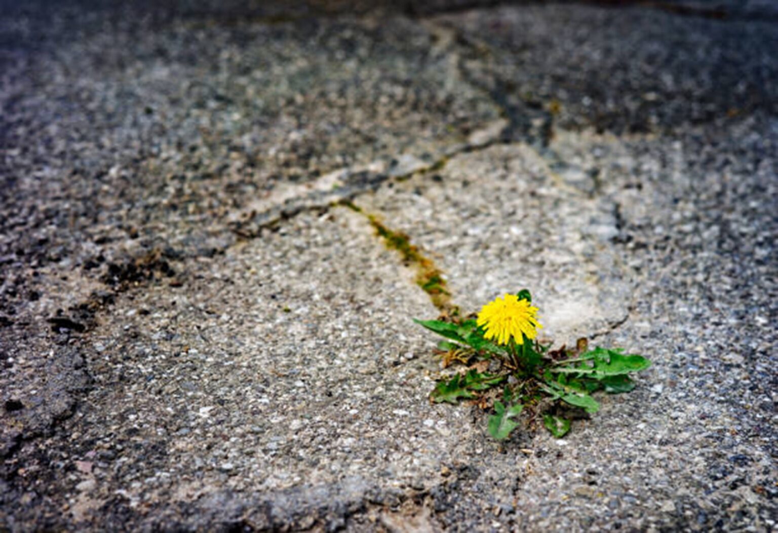 Building Resilience: Why Traditional Training Methods Aren't Enough - Resilience Training